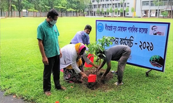 Tree Planting campaign